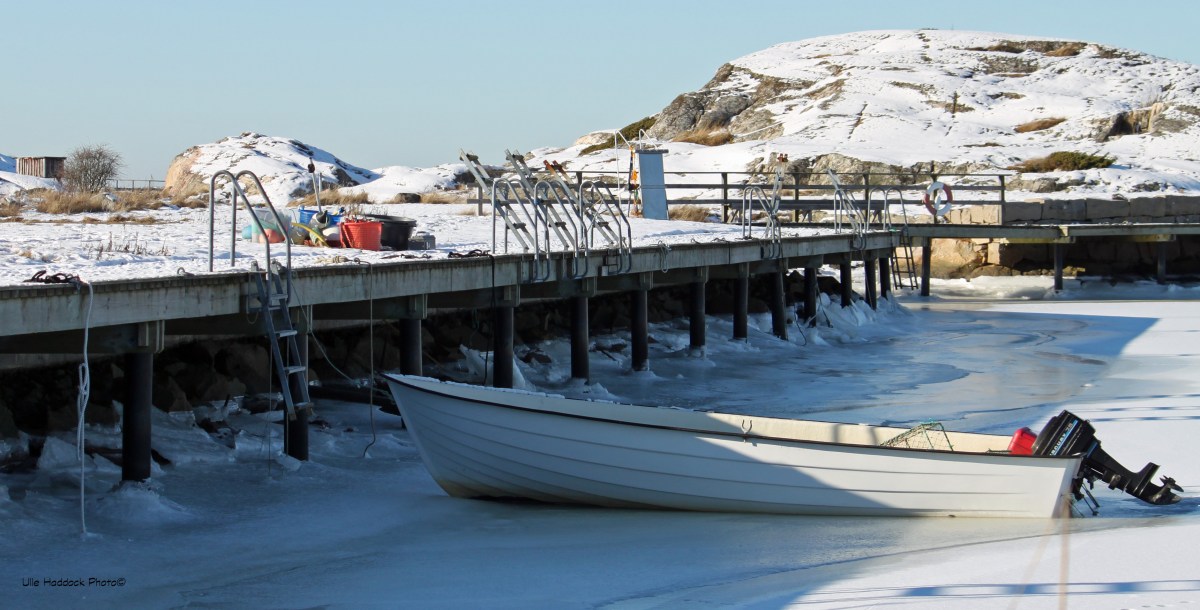 Soon Honey – UlleHaddock