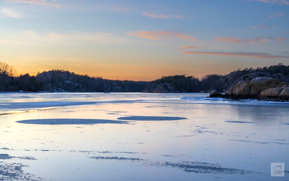 Frozen bay – UlleHaddock