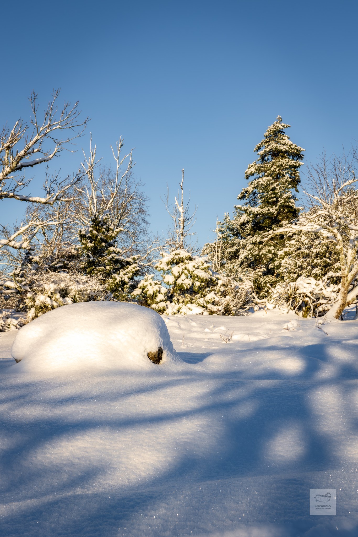 Snow and shadows – UlleHaddock